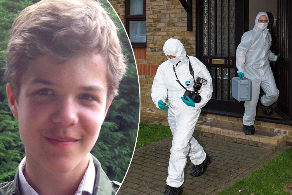 BREAKING NEWS: Lewis Daynes, 19, admits murder of 14-year-old Breck ...
