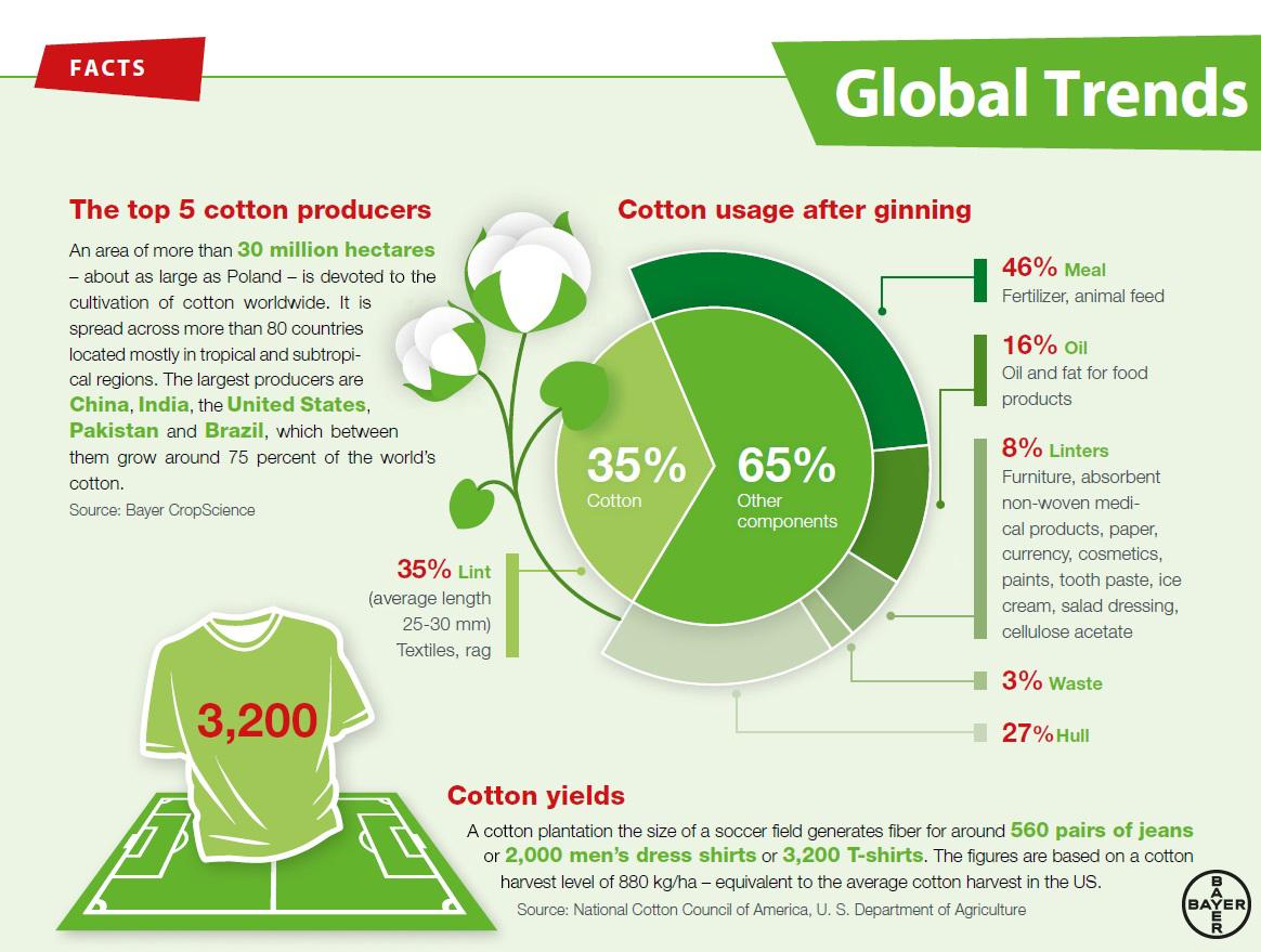 Cotton Plantation Diagram