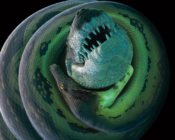 If #Titanoboa were alive today, what would it eat? | Scoopnest