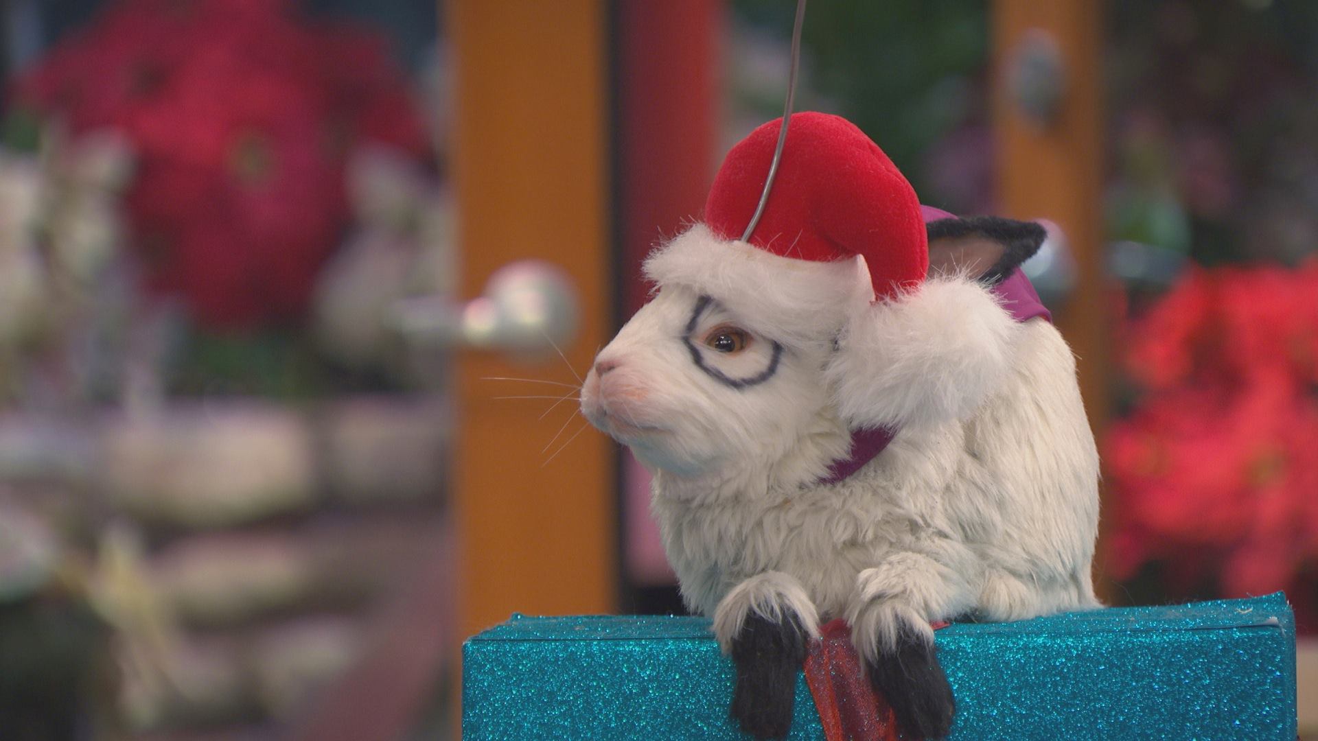 The Thundermans Dr Colosso