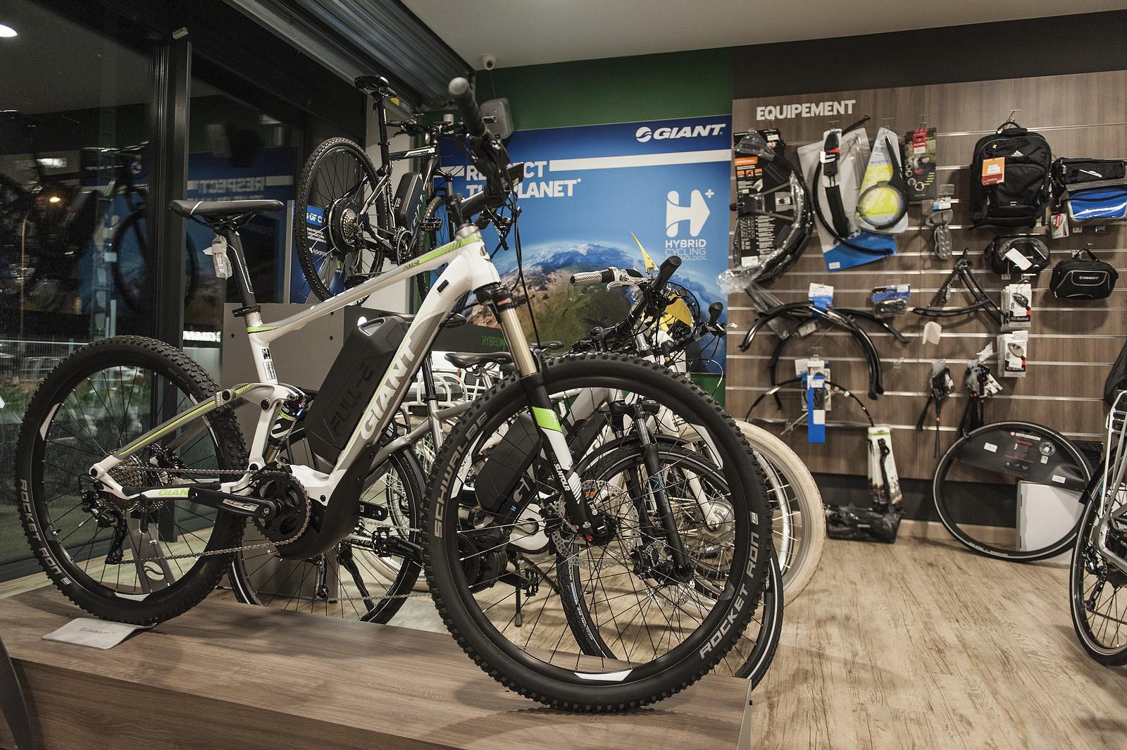 Giant Avignon (@giantavignon) / Twitter