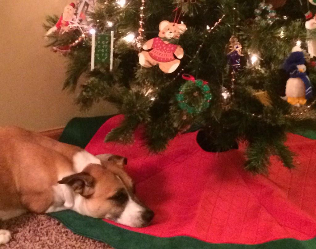 Dawn Cothran Fadden (@DawnFadden) | Twitter