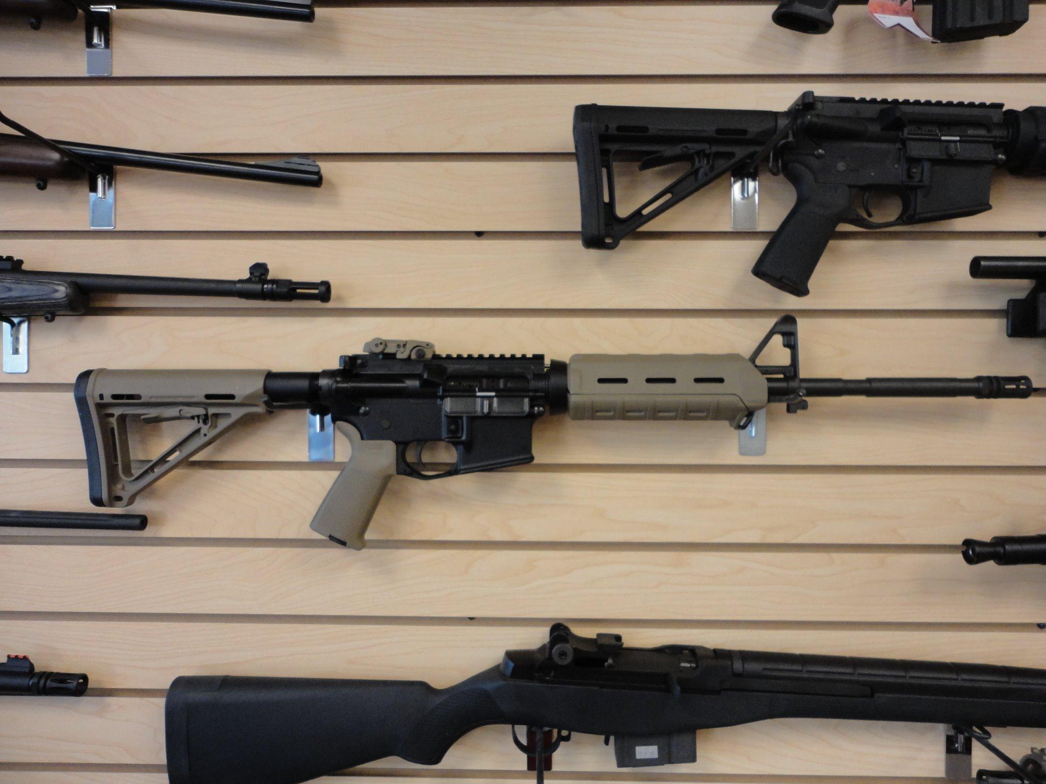 Bushmaster Carbon 15 Magpul