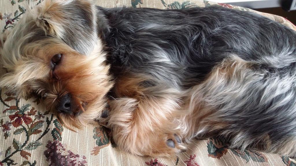 Anna Espinal (@TotalMathGeek) | Twitter