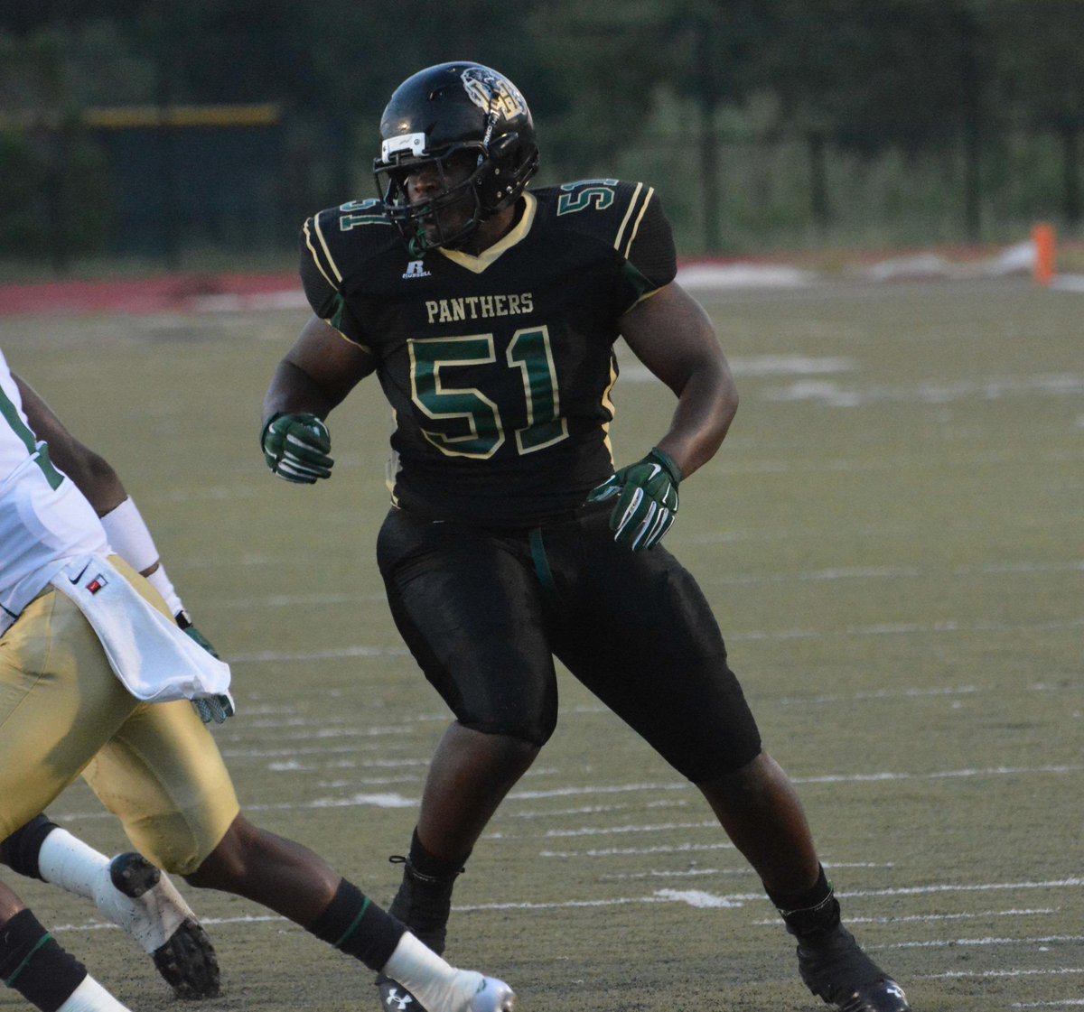 Georgia Southern Gata Logo