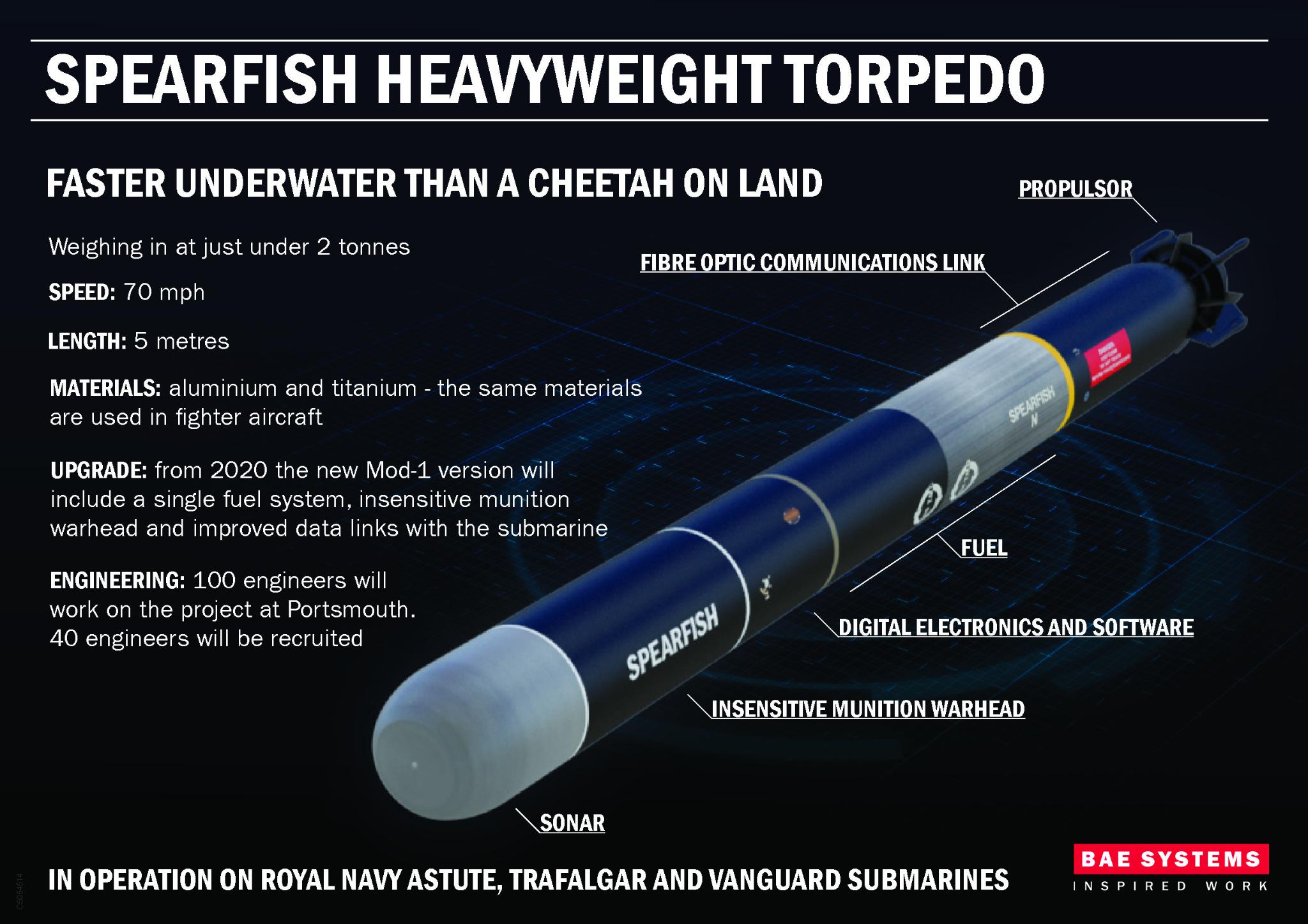 Bae Systems Infographic