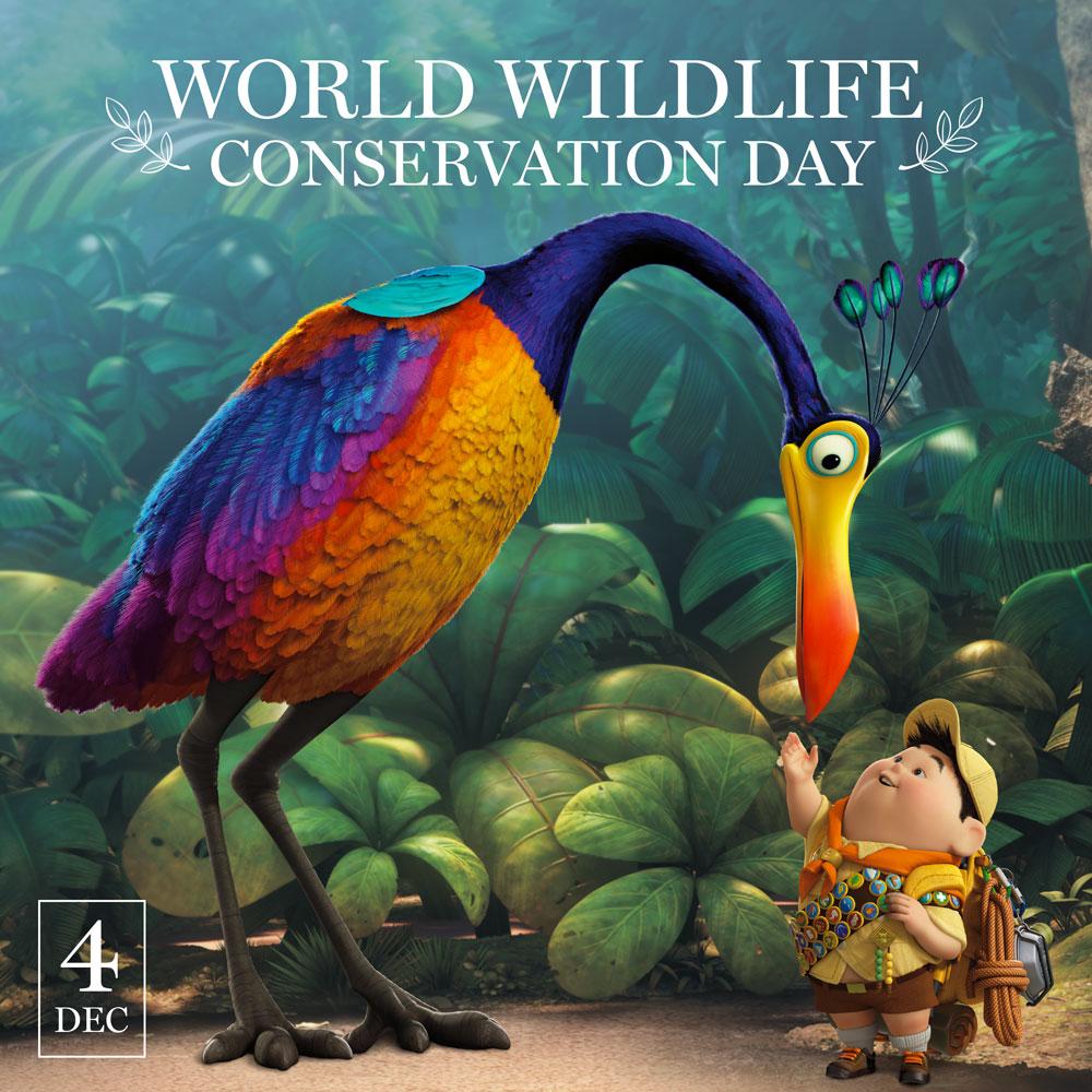 Snipe Bird From The Movie Up