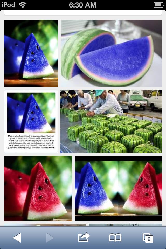 Blue Watermelon Moonmelon