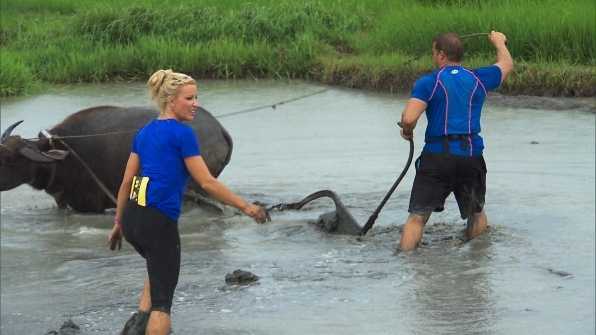 'Amazing Race' update on Columbia couple Jim and Misti Raman: | The ...