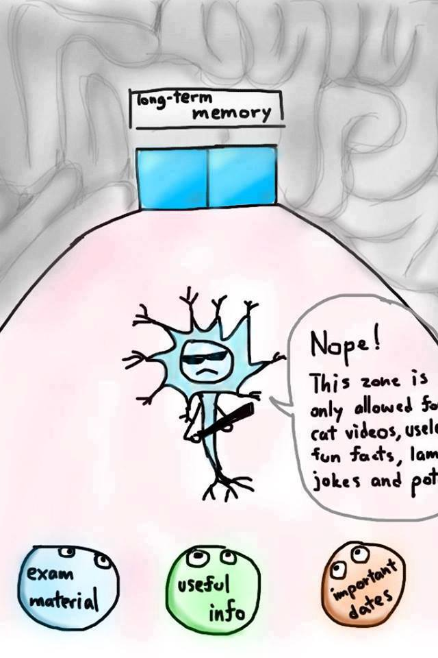 Short Term Memory Funny
