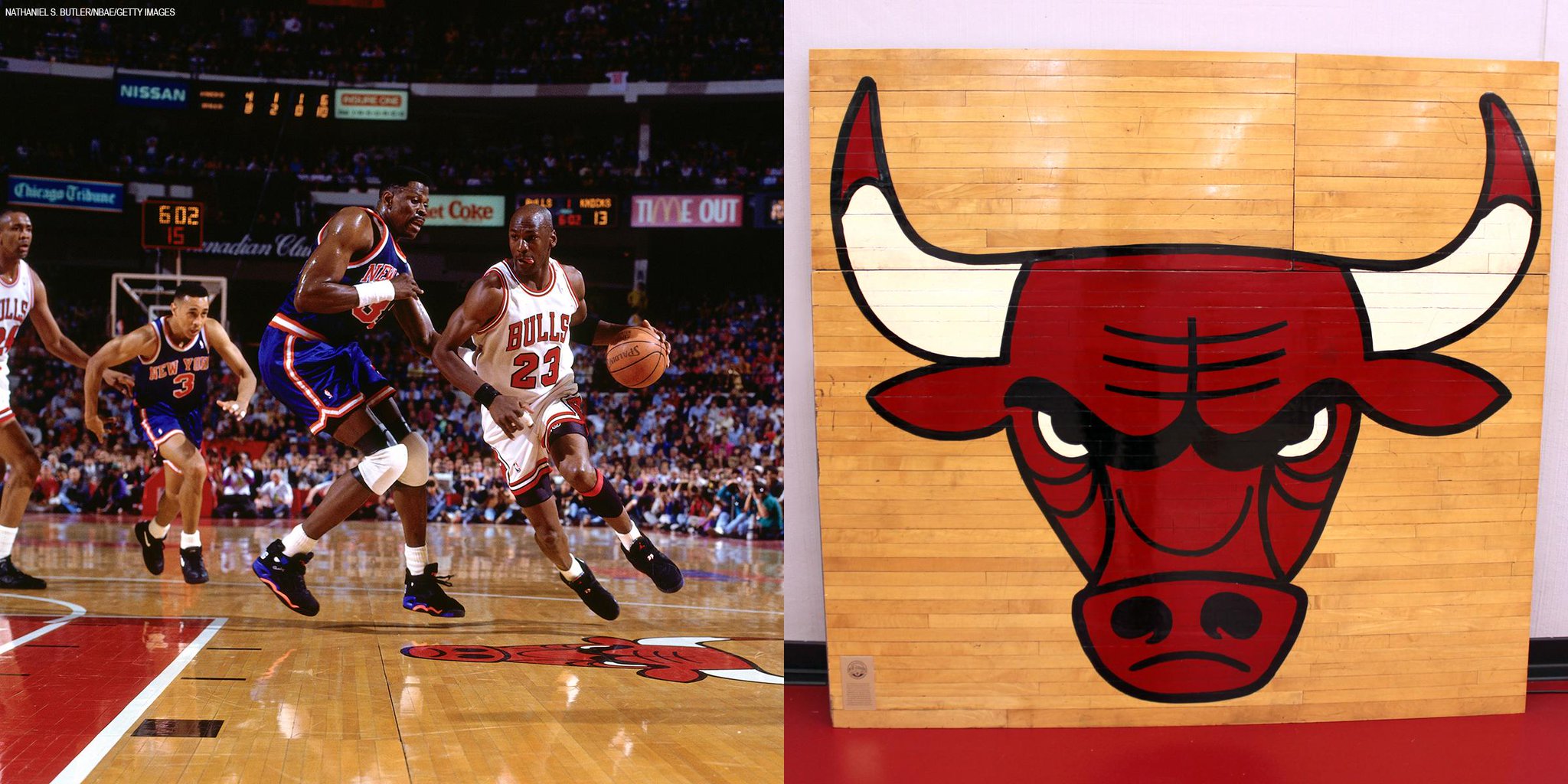 Chicago Bulls Floor Logo Chicago Bulls Dennis Rodman Michael Jordan