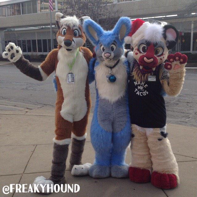 A Possible Chemical Attack At A Furry Convention Sent 19 People to The ...