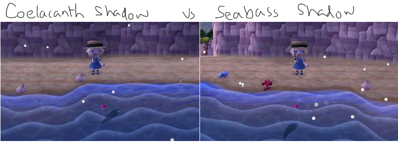 Animal Crossing New Leaf Coelacanth Shadow