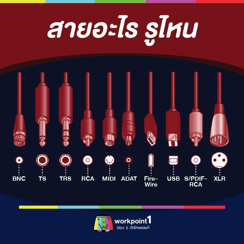 ช่อง Workpoint กด23 on Twitter: "สายอะไร รูไหน รู้ไว้ไม่สับสน http://t.co/J3kFmgzYXi"