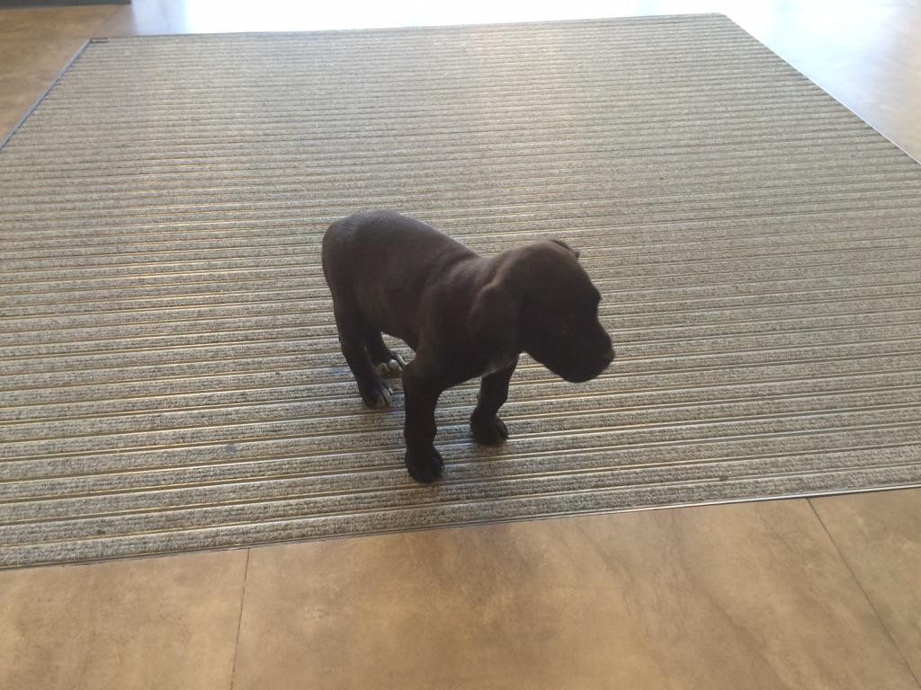 Suministros BPC sl (@suministrosbpc) | Twitter