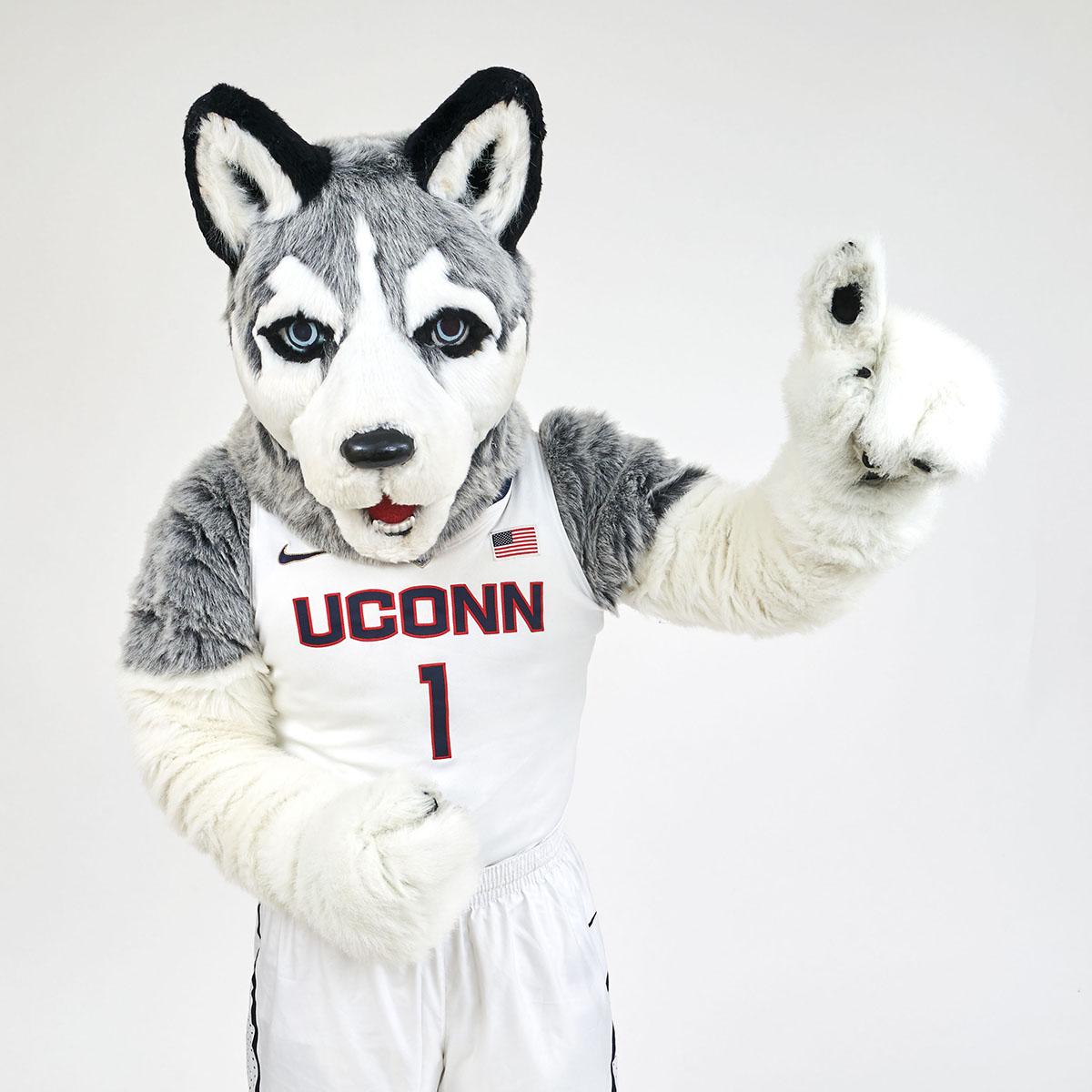Uconn Jonathan The Husky
