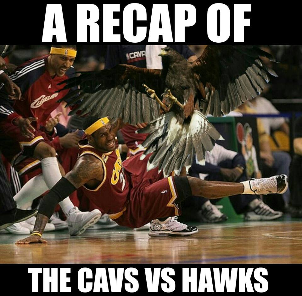 Atlanta Hawk Memes Trae Young Pranked Knicks Fan With Funny Fake Out
