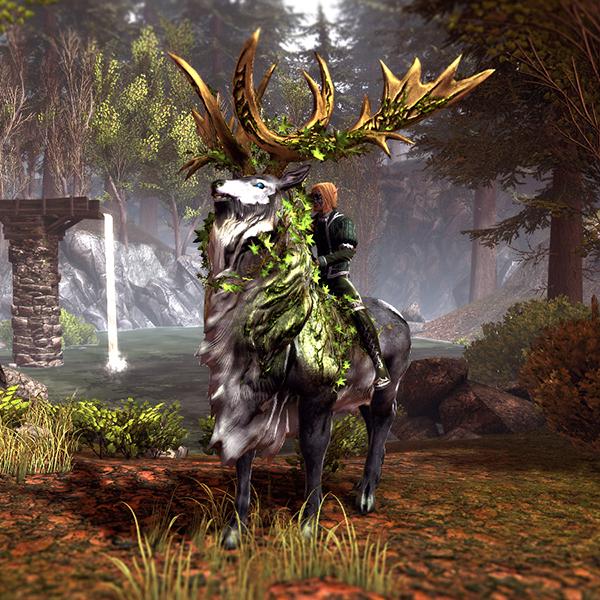 Isn’t there a mount that looks similar to this : r/Neverwinter