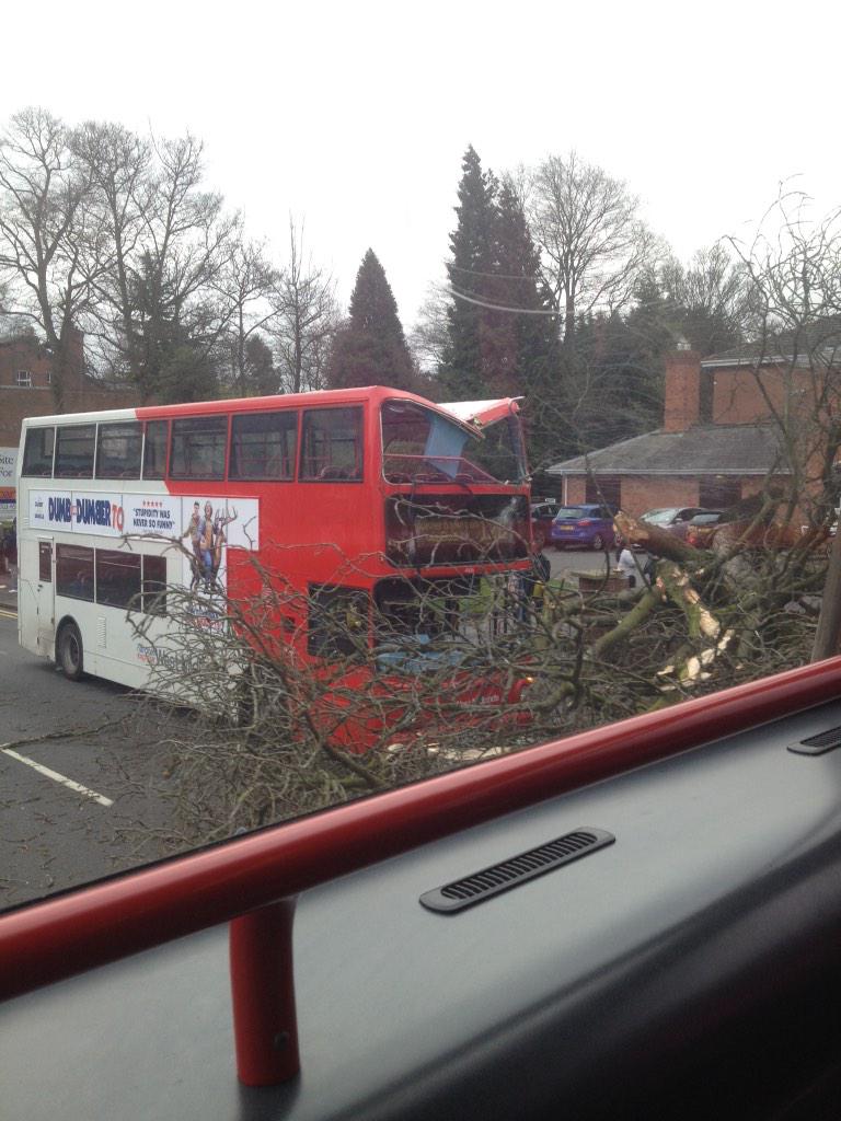 Top of bus crushed by tree - ITV News