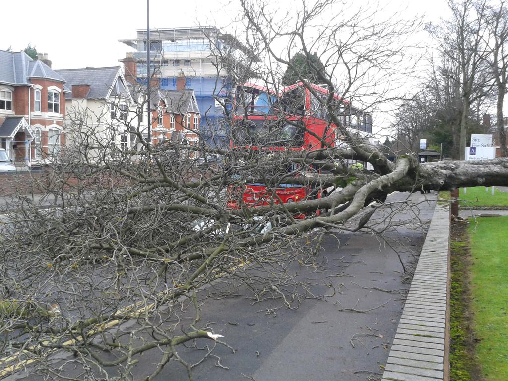 Top of bus crushed by tree - ITV News