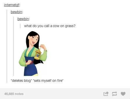Puns Tumblr