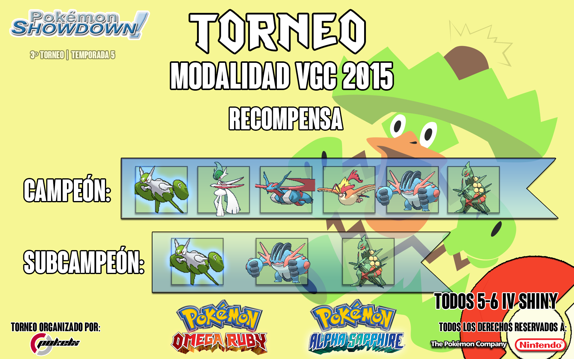 Challonge Tournament Bracket