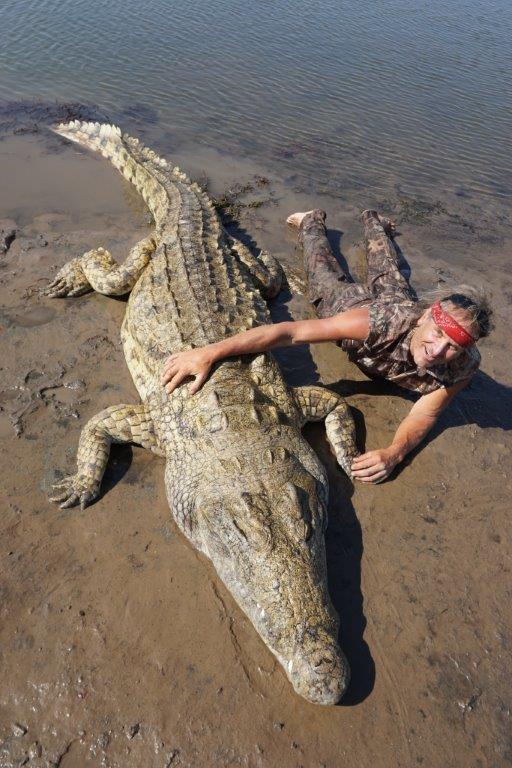 Zambezi River Crocodiles
