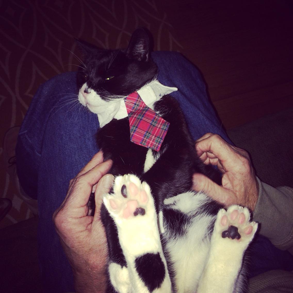 Jace (@jace_lawson) | Twitter