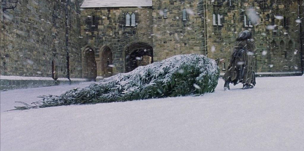 Harry Potter Universe on Twitter: "Dec. 21, 1991: Hagrid sets up the 12 ...