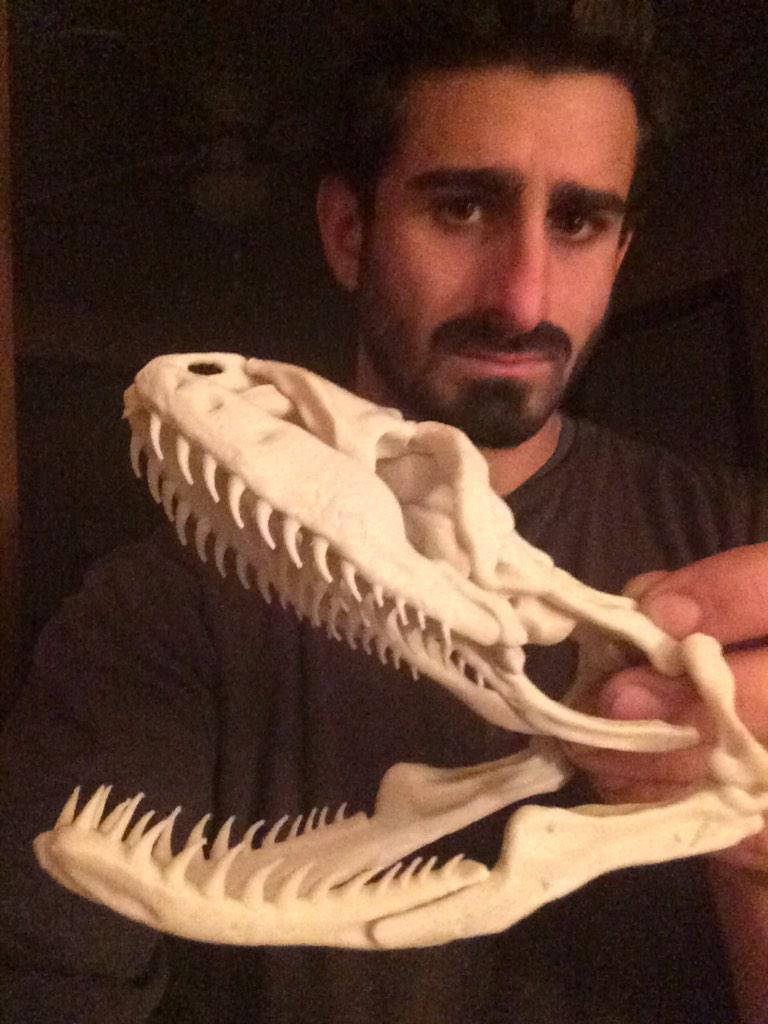 Looking for anaconda skull model : r/3Dprinting