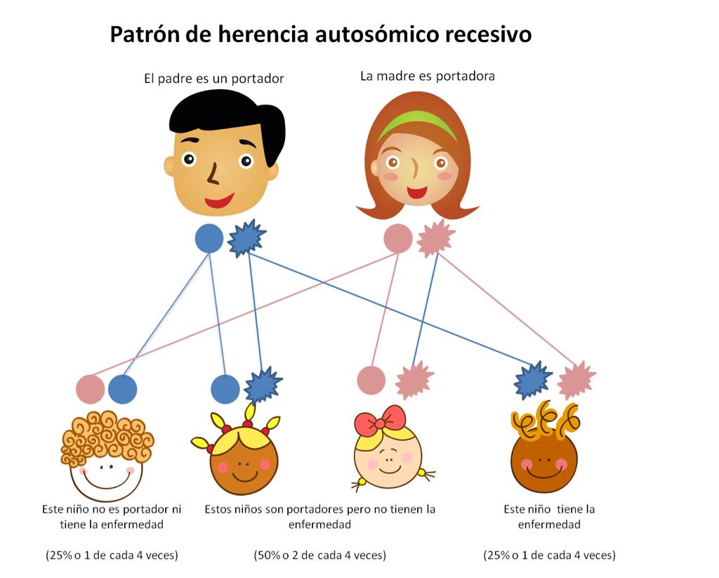 Herencia Autosómica Recesiva