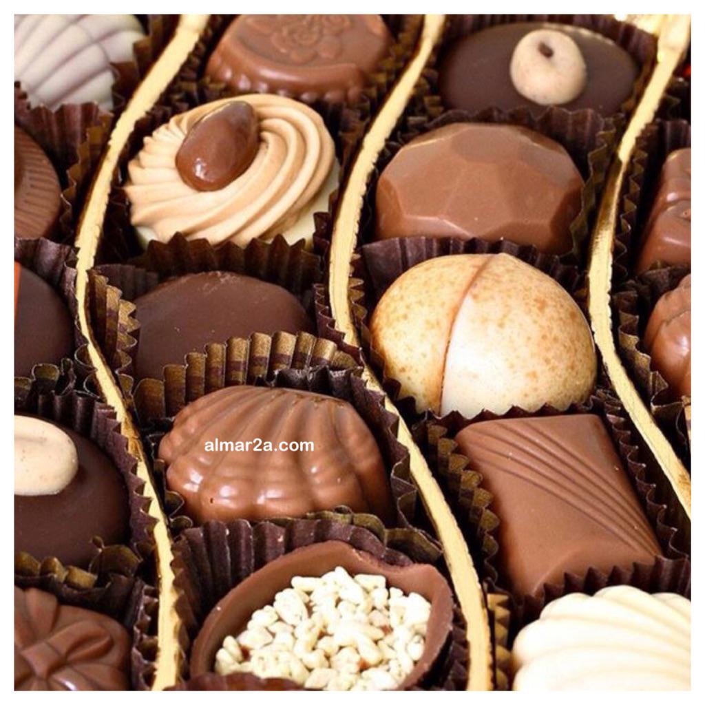 Imene Mouna (@ImeneMouna00) | Twitter