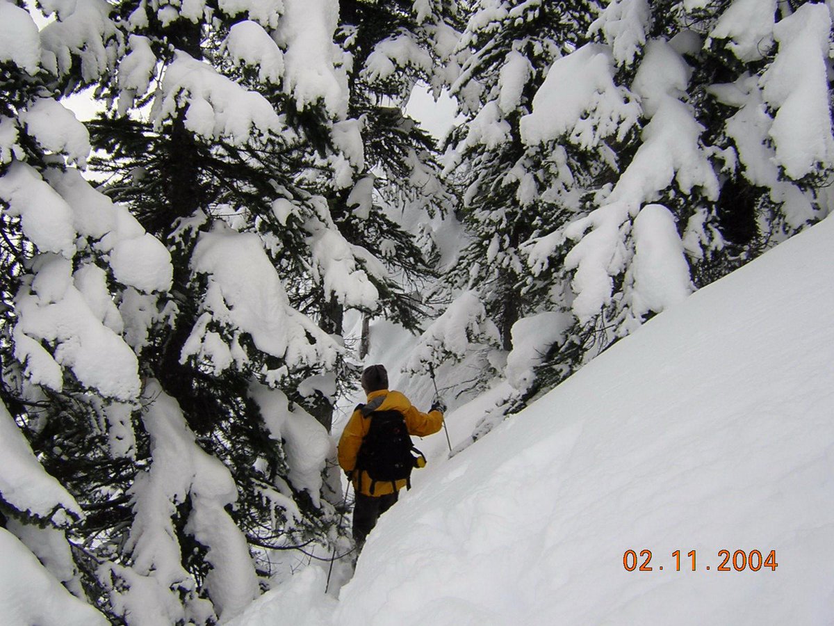 Todd Singleton (@TSCsolutions) | Twitter