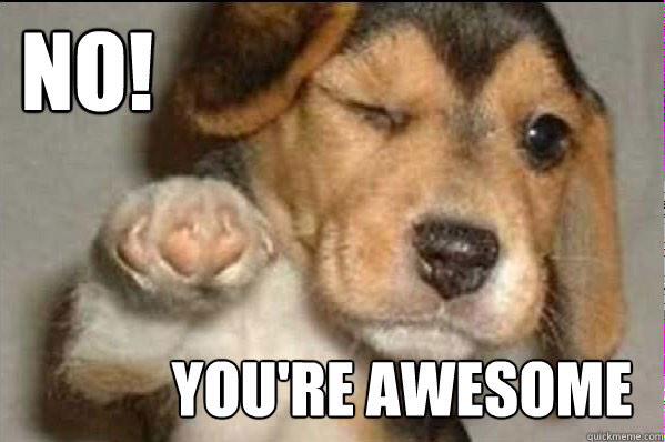 Youre Awesome Meme Dog