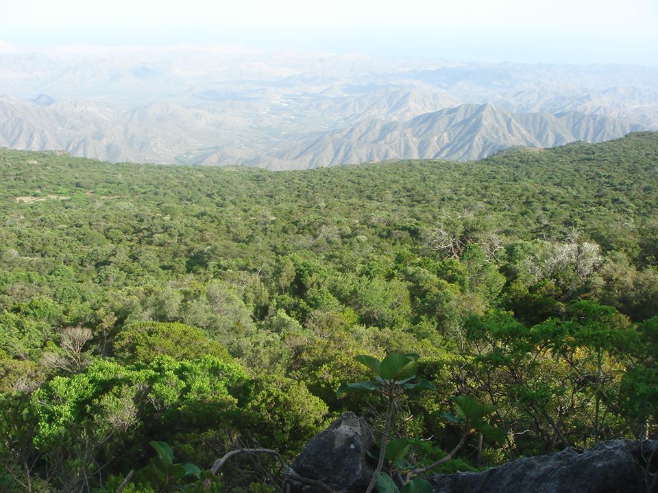 Sacred Somaliland Photo Gallery - Page 75 - SomaliNet Forums