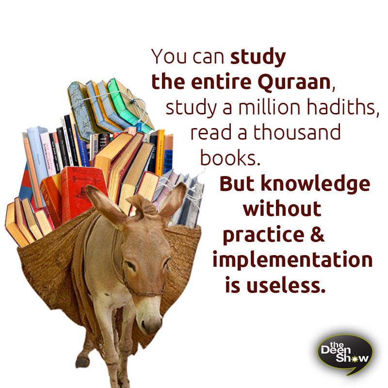 moaaz omar (@omar_moaaz) | Twitter