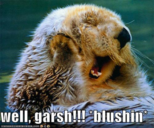 Aww Gosh Memes