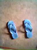 Basudeb Roy (@BasudebRoy1) | Twitter