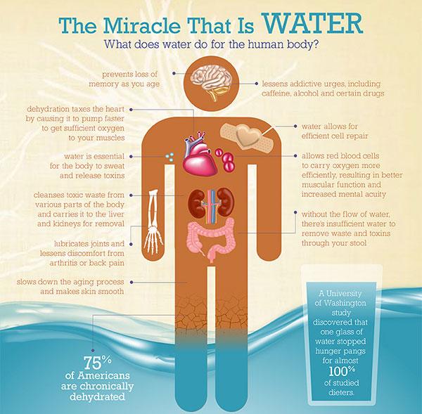 The miracle, that is water. More amazing wonders of water - OS2p9zDxQl ...