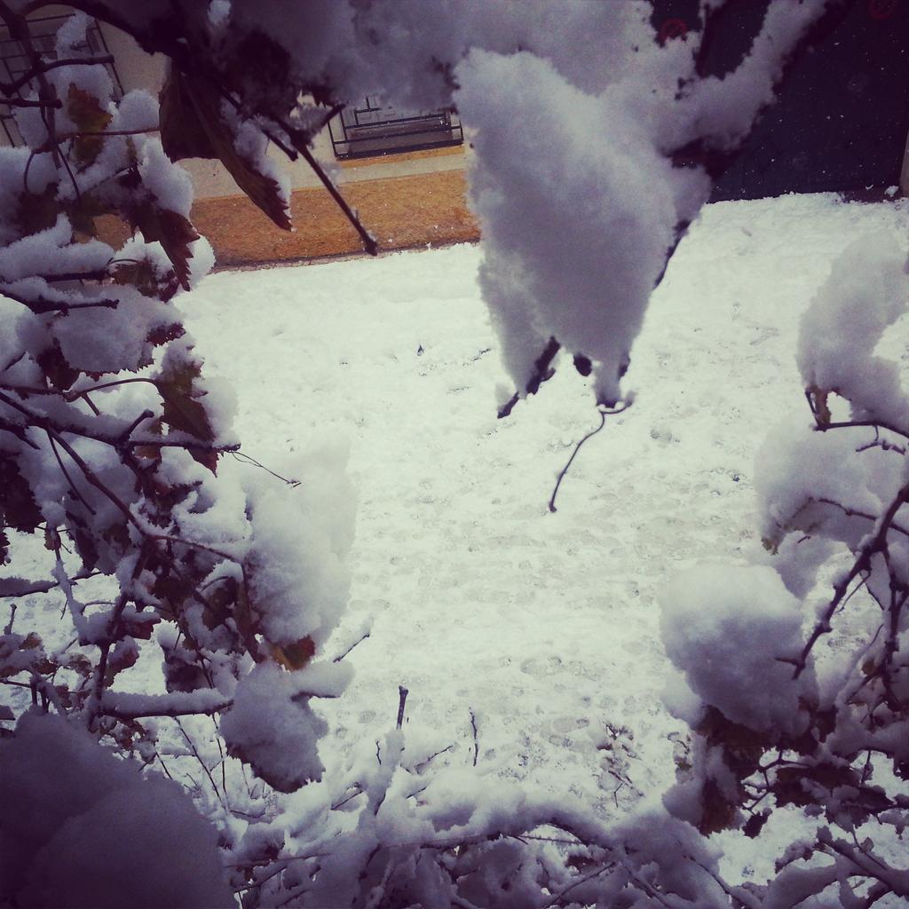 Imene Mouna (@ImeneMouna00) | Twitter