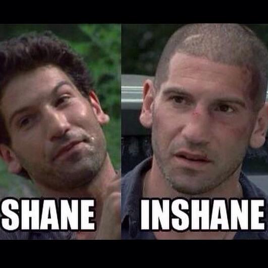 Shane Walsh Meme