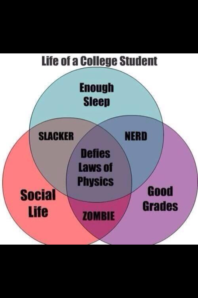 Slacker Student Meme