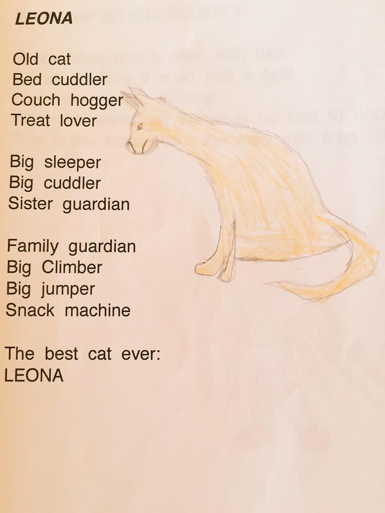 Metaphor Poems About Animals