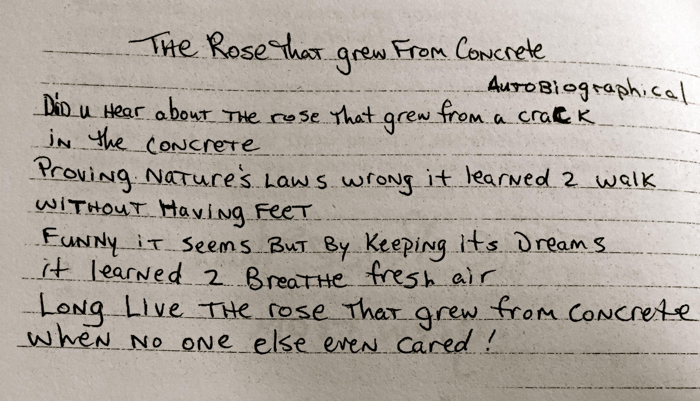 The Rose That Grew From Concrete Book