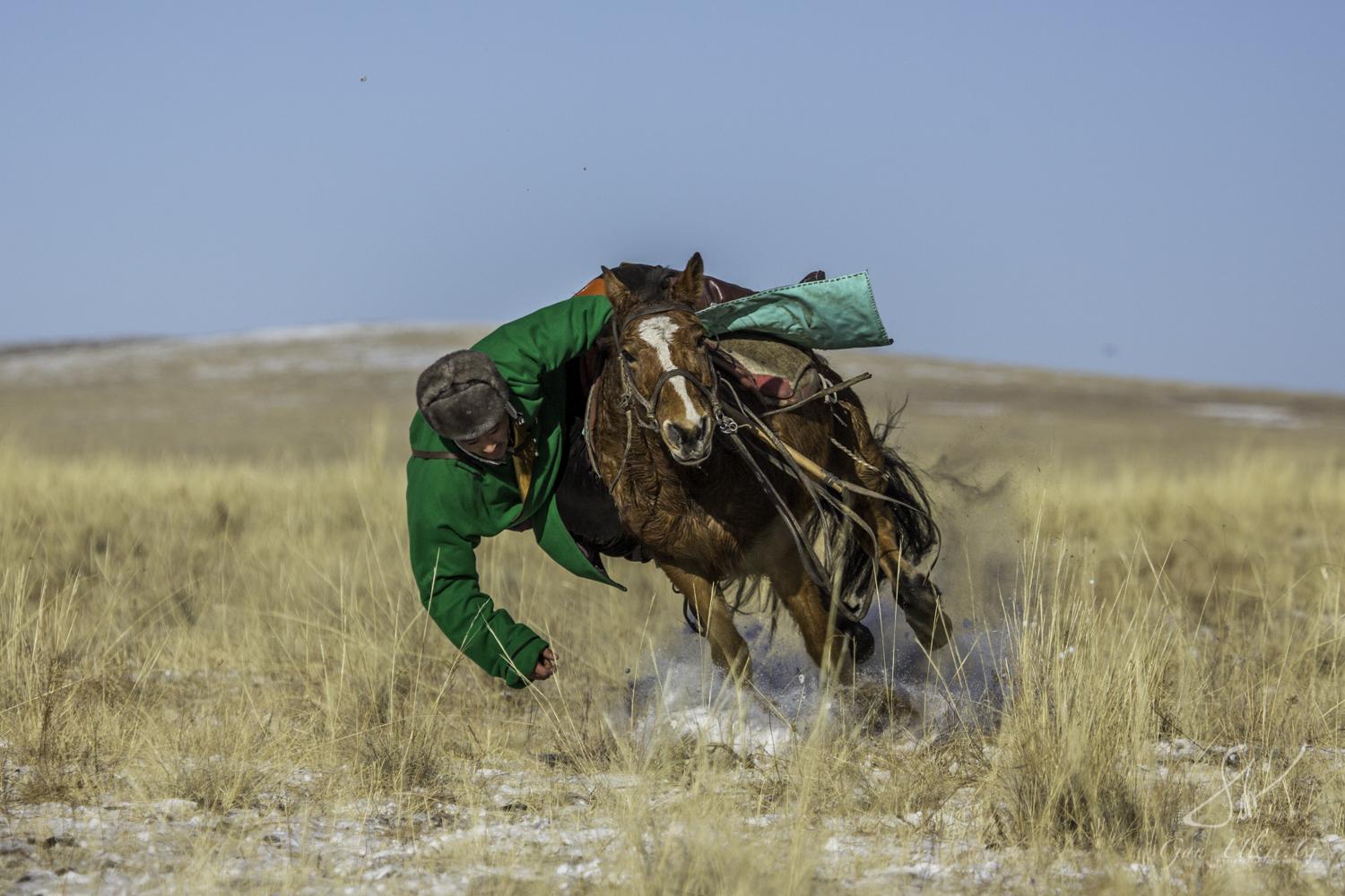 Zuragchin Gan Ulzii On Twitter Морины давхилтан дунд газраас уураг шүүрэх залуус ховордоод