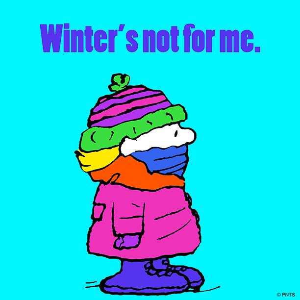 Snoopy Winter Quotes Specials 34 Snoopy And The Gang!