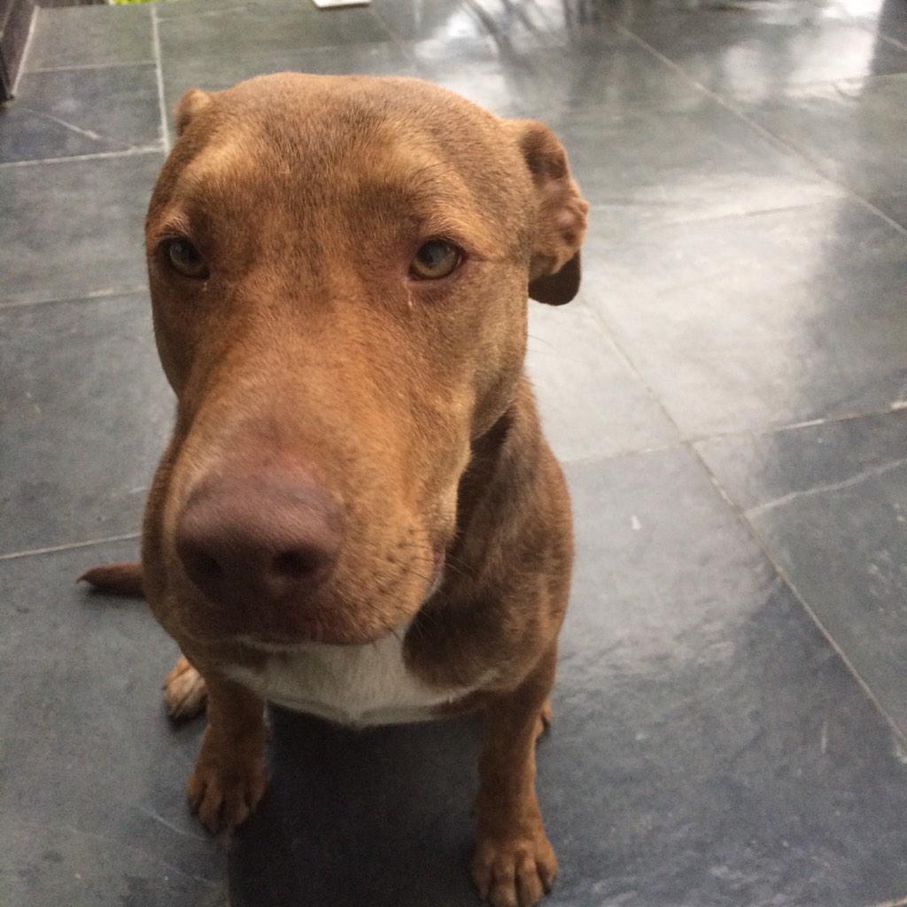 M. Isabel Matte (@isabelmatte) | Twitter