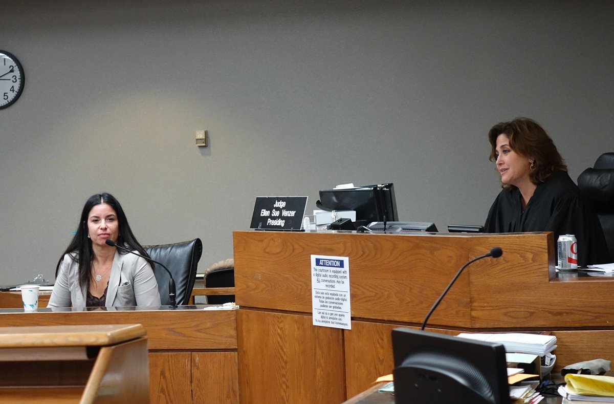 Miami-Dade Judge Nushin Sayfie (ex lawyer of defendant in murder ...