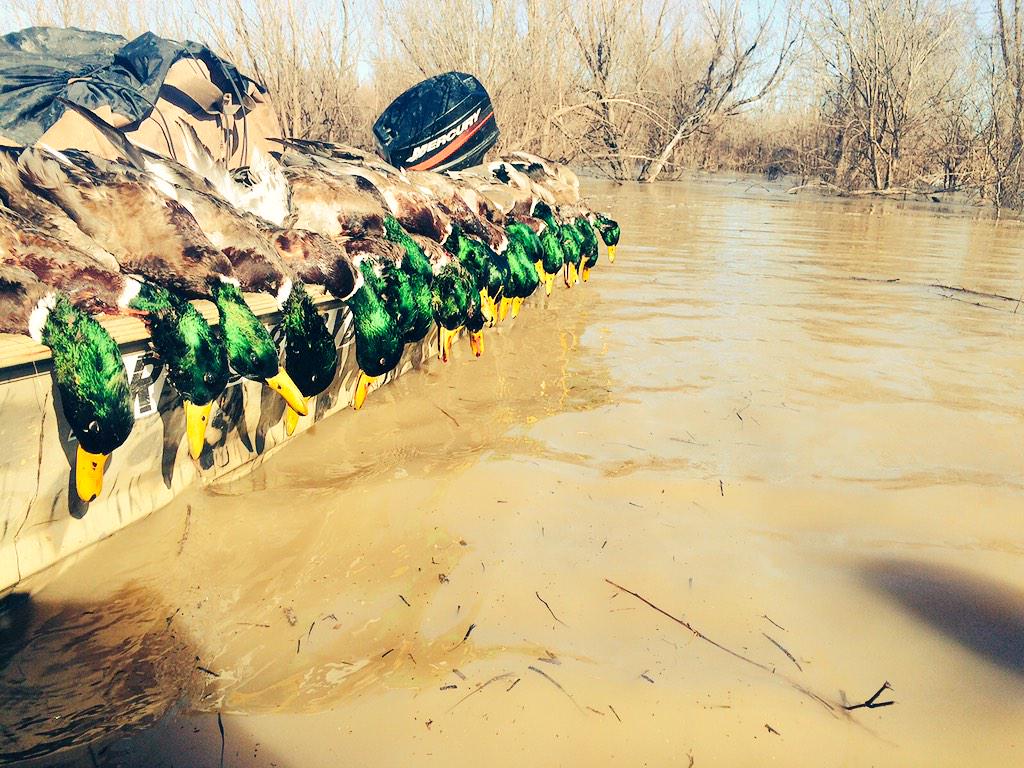 Rick Hanna (@RickHanna1) | Twitter