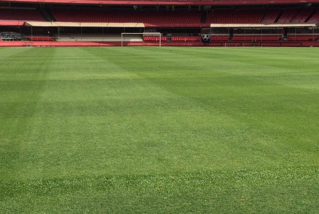 Fotos do gramado do Morumbi, reformado - SPFC.Net